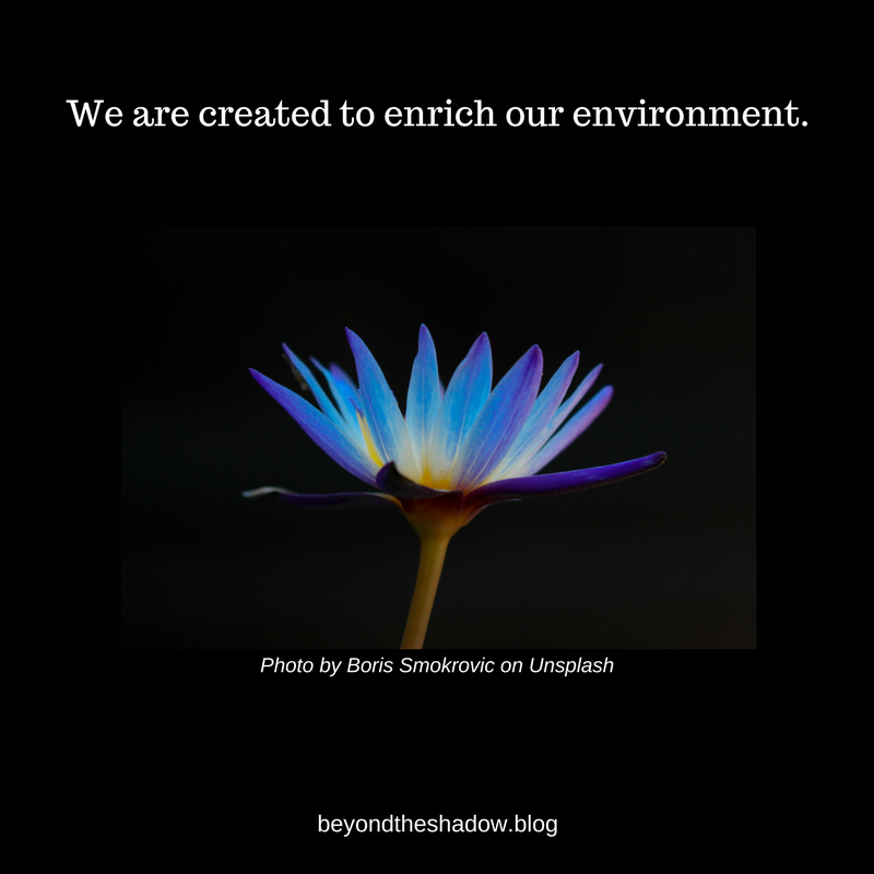 HOW DO YOU IMPACT YOUR ENVIRONMENT? – Beyond the Shadow